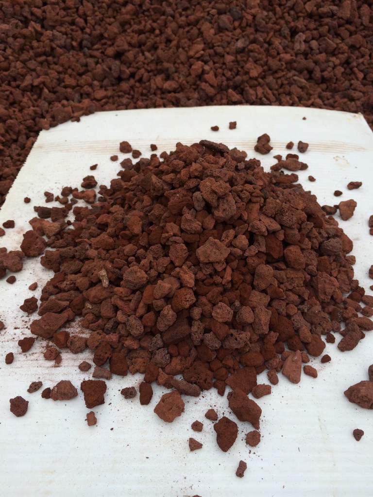 Burgundy Lava Rock - Waxy's Bobcat